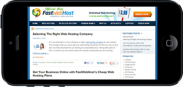 What do the Best Web Hosting Plans Have in Common? - FastWebHost - Web Hosting Blog