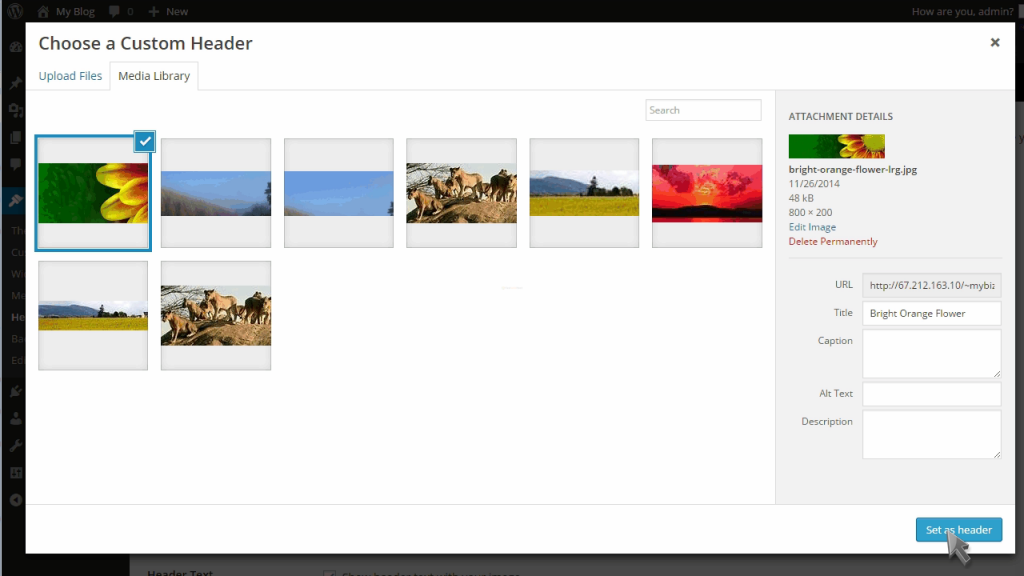 How to change your header in WordPress? | FastWebHost WordPress Tutorials